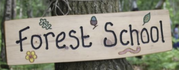 Forest Schools – Sandside Lodge School | Special Educational Needs ...