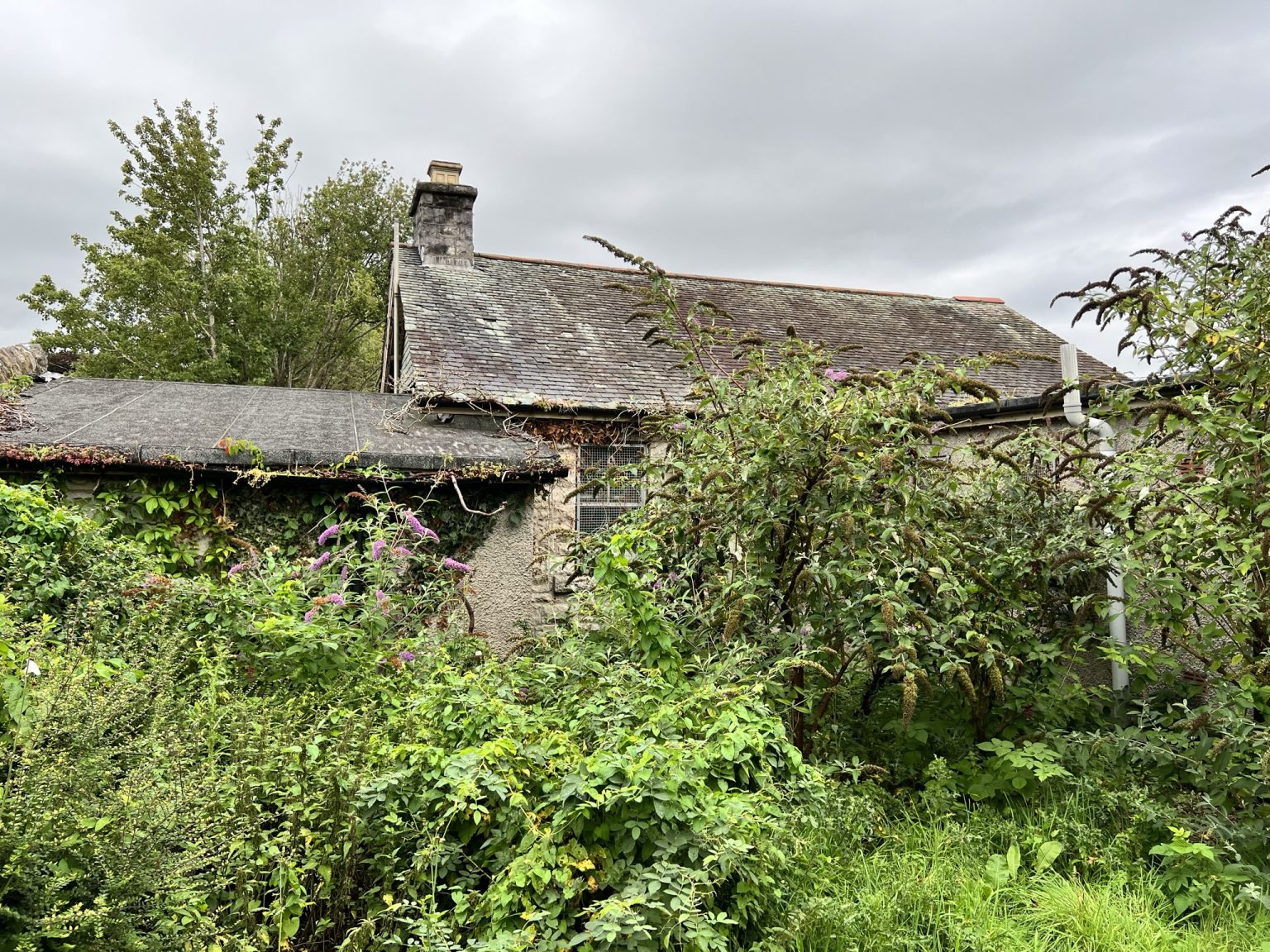 Friends of Sandside Lodge School – Sandside Lodge School | Special ...